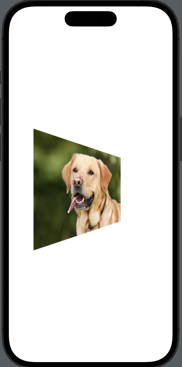 How To Rotate Images In 3d In Ios Swiftui Coding With Rashid