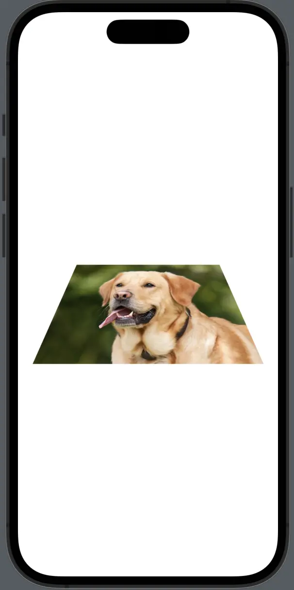 How To Rotate Images In 3d In Ios Swiftui Coding With Rashid