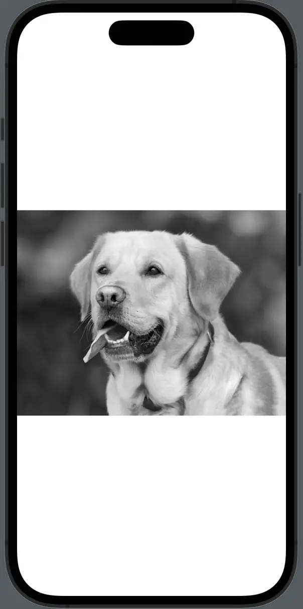 How To Convert Images To Grayscale In Ios Swiftui Coding With Rashid