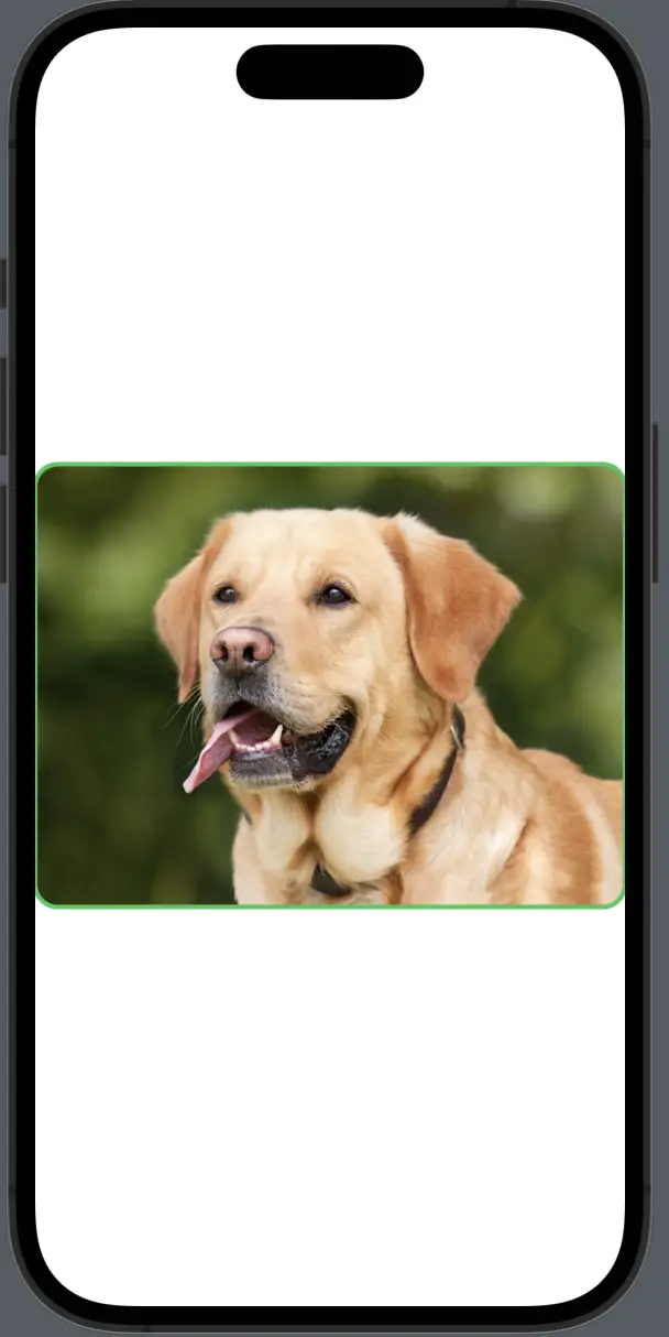 How To Add Image Borders In Ios Swiftui Coding With Rashid